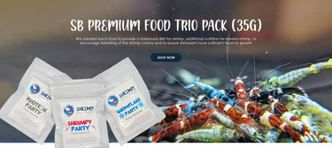 Freshwater Shrimp & More | Freshwater Fish Store
